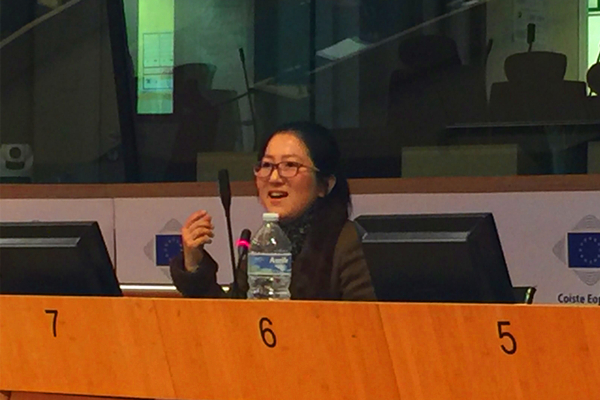 我校教师参加欧盟玛丽•居里计划国际研究人员交流计划CHETCH结项会议